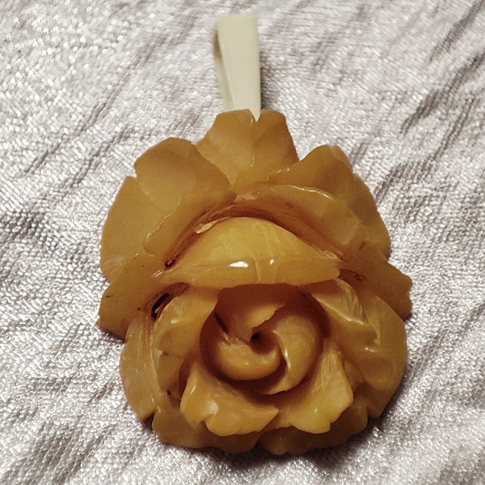 Molded Celluloid? Antique Vintage Carved Bakelite? Pl… - Gem
